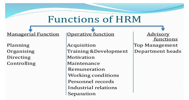  Management And Its Functions What Are The Functions Of Human 