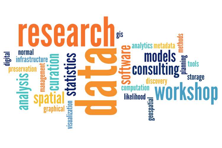 Data Research Analysis Proof Reading Services