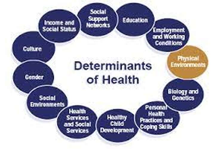 What Are The 10 Social Determinants Of Health what-are-the-10-social-determinants-of-health
