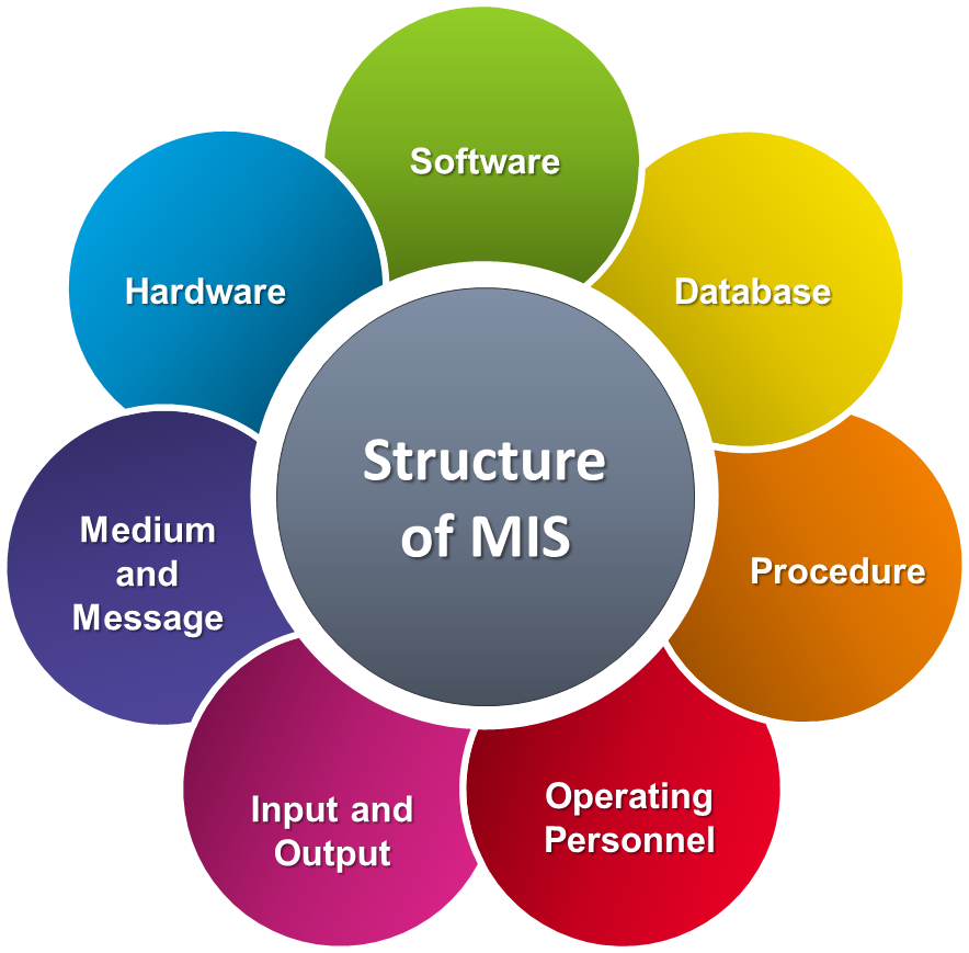 MIS101 Management Information System Oz Assignments