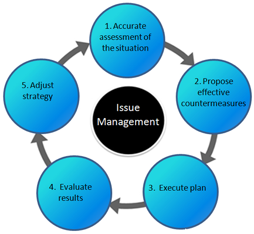 Issue Management Plan Proof Reading Services
