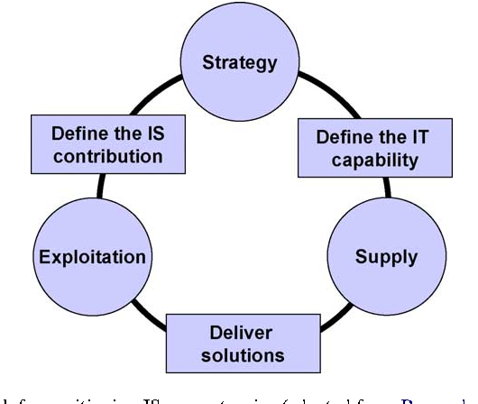 HI5019 Strategic Information Systems Paper Editing Services